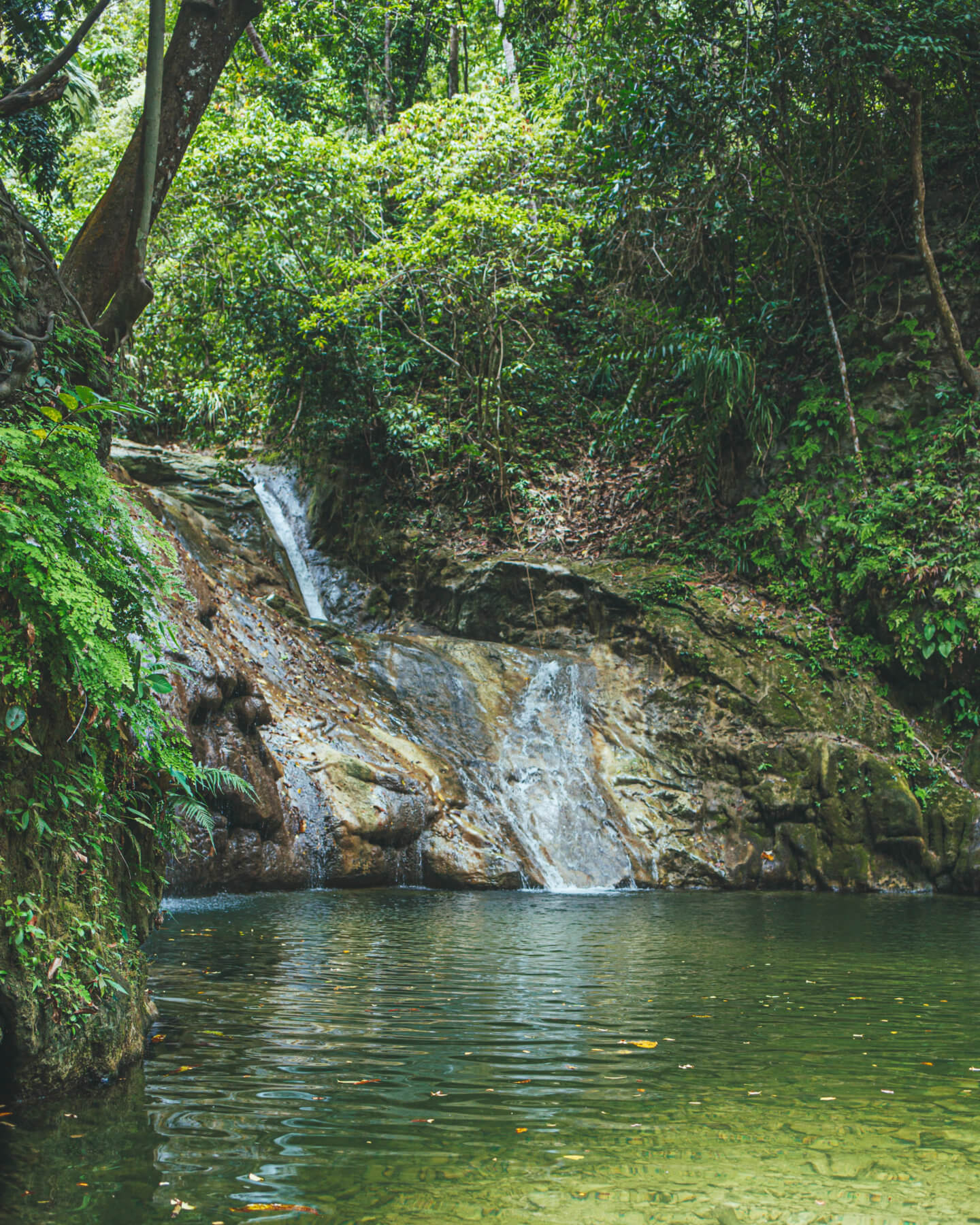 My Bohol itinerary and Solo Adventure - the london thing